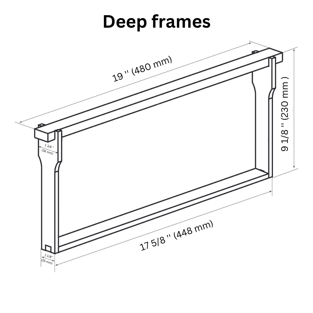 Deep Beehive Frames | Premium Langstroth Frames | Bee Frames Canada